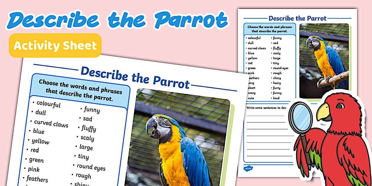 Describe the Parrot Activity Sheet - KS1 - Twinkl