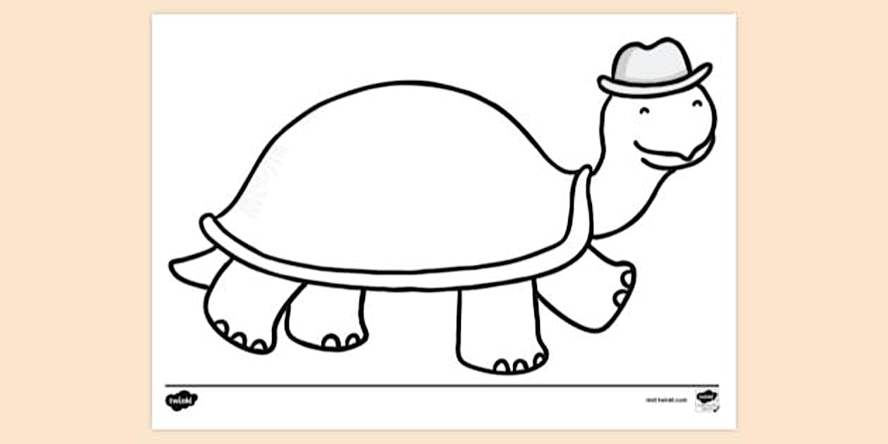 Tortoise Colouring Sheet | Colouring Sheets (teacher made)