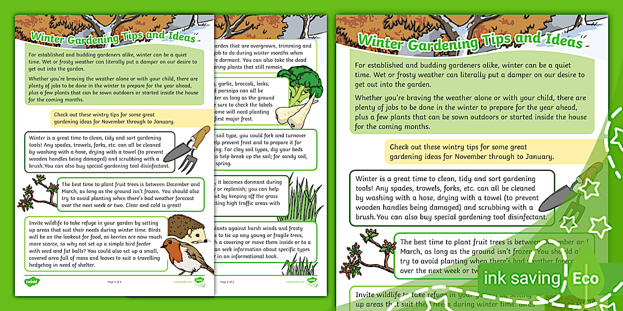 Winter Gardening: Planting Tips and Ideas