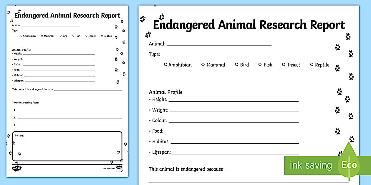 Endangered Animal Repot Template (teacher made) - Twinkl
