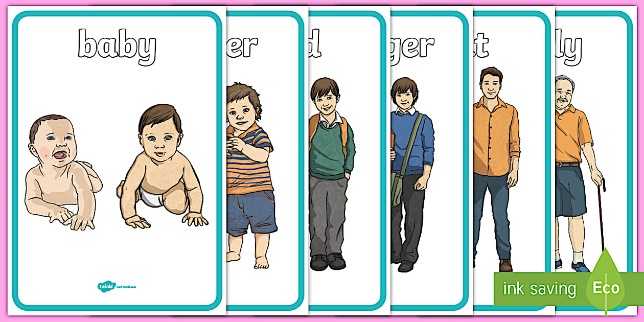 Human Growth Display Posters (teacher made) - Twinkl