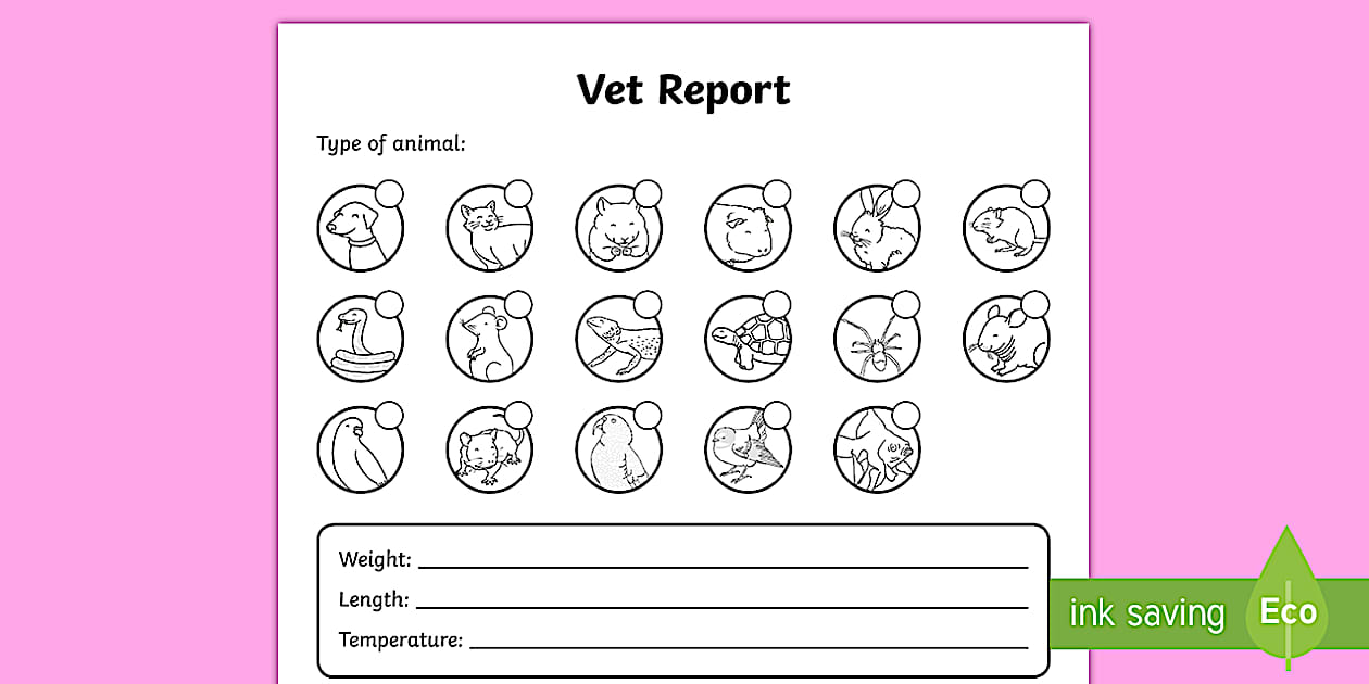The Vets Aistear Vet Report Role-Play Poster (teacher made)