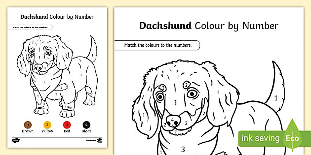 Dachshund Dog Colour By Number for Children: Free Download!