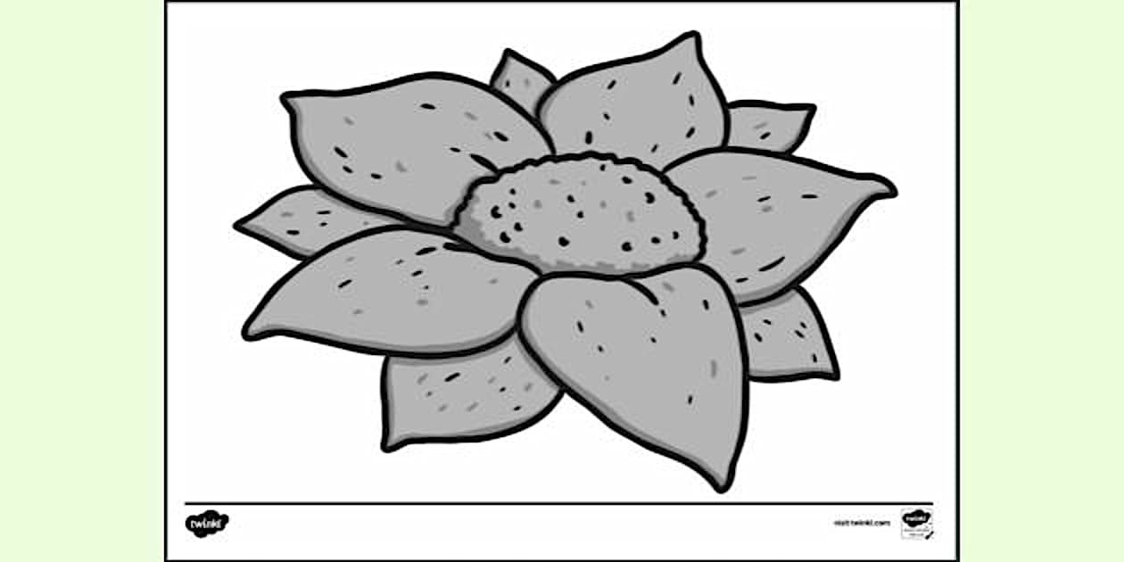 Clay Flower Colouring | Colouring Sheets (teacher made)