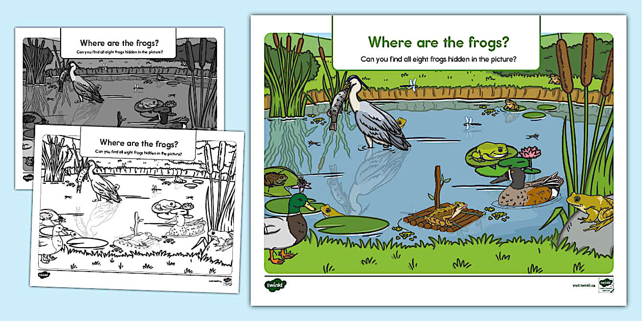 Where's the Frog? I Spy Activity (teacher made) - Twinkl