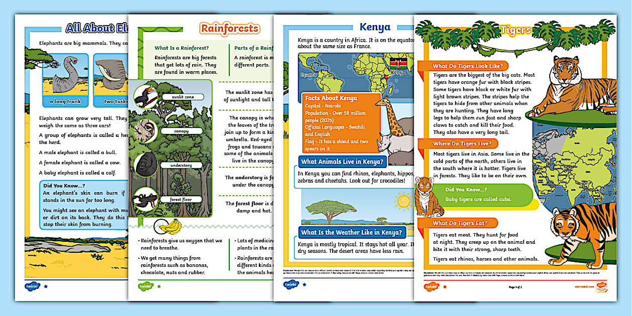 KS1 We're Going On Safari! Bumper Reading Comprehension Pack