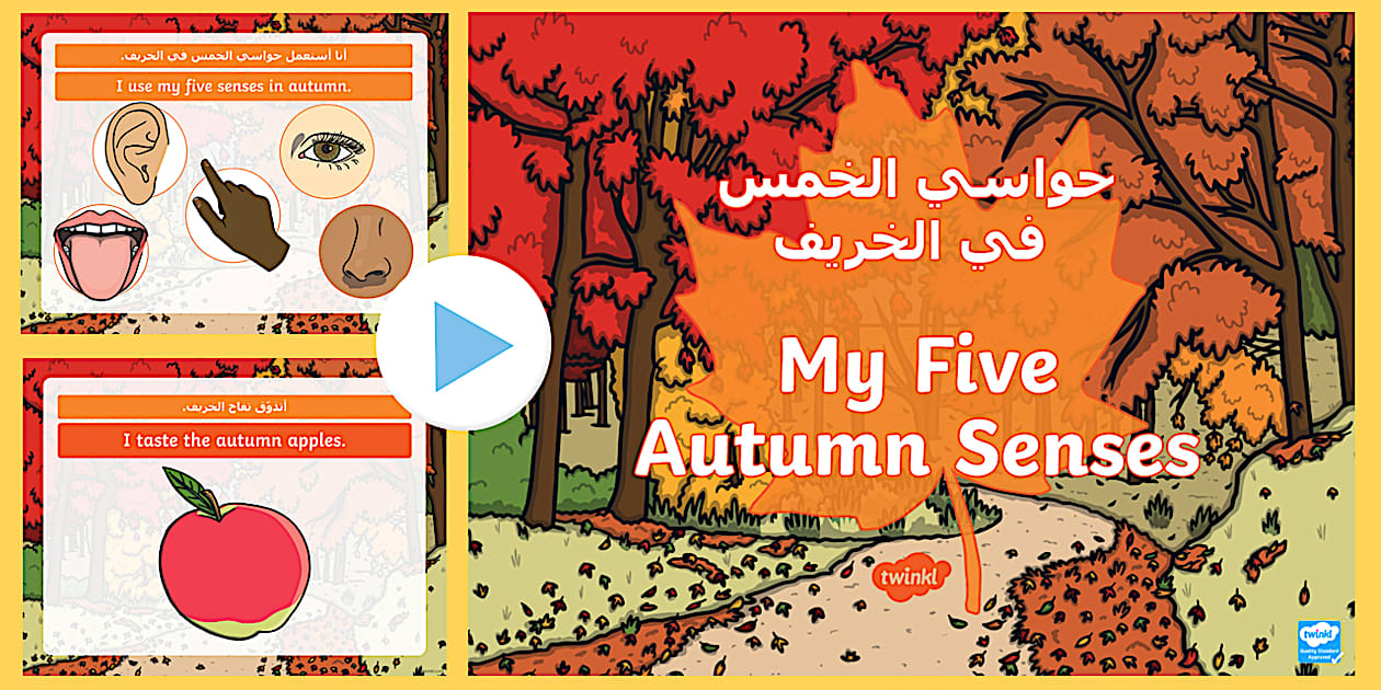My Five Autumn Senses PowerPoint Arabic/English - Twinkl