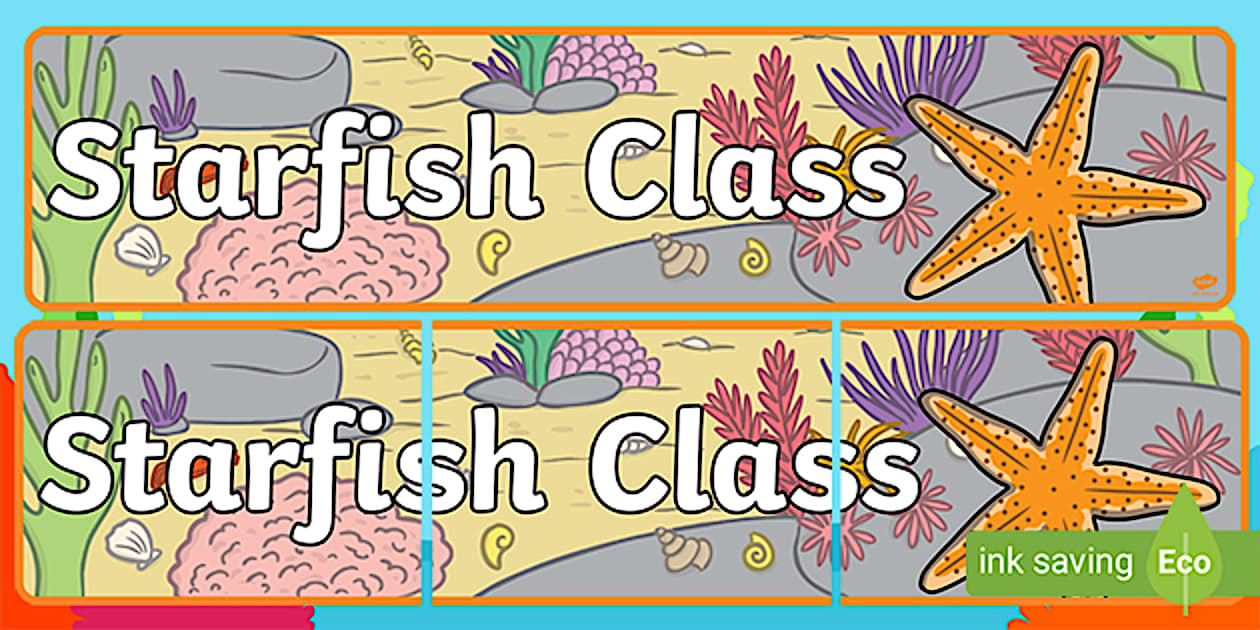 Starfish Themed Classroom Display Banner (teacher made)