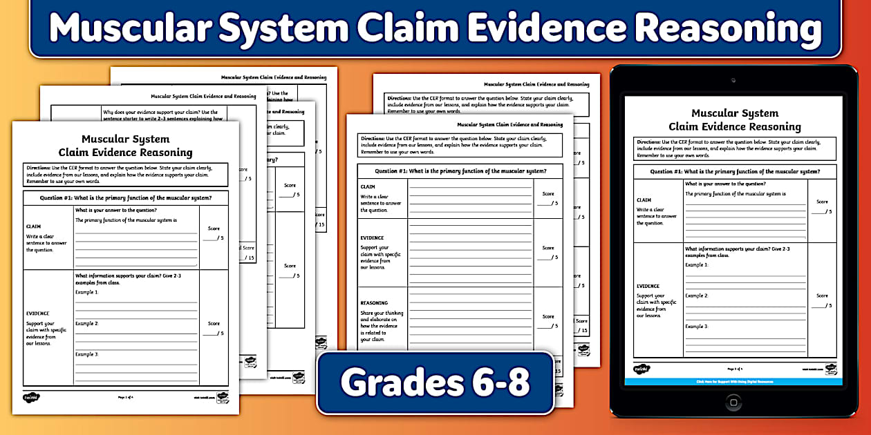 CER Muscular System Worksheet (ティーチャーメイド)