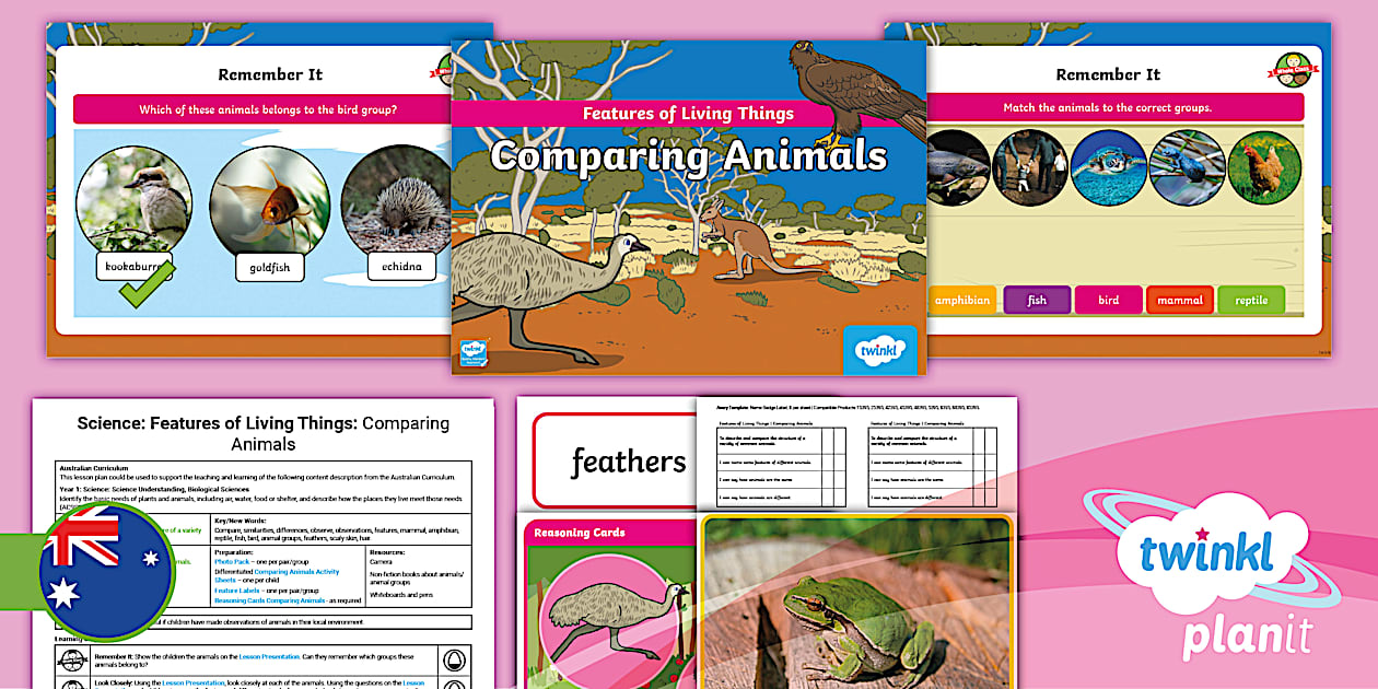 Year 1 Science Living Things Lesson 2 Comparing Animals