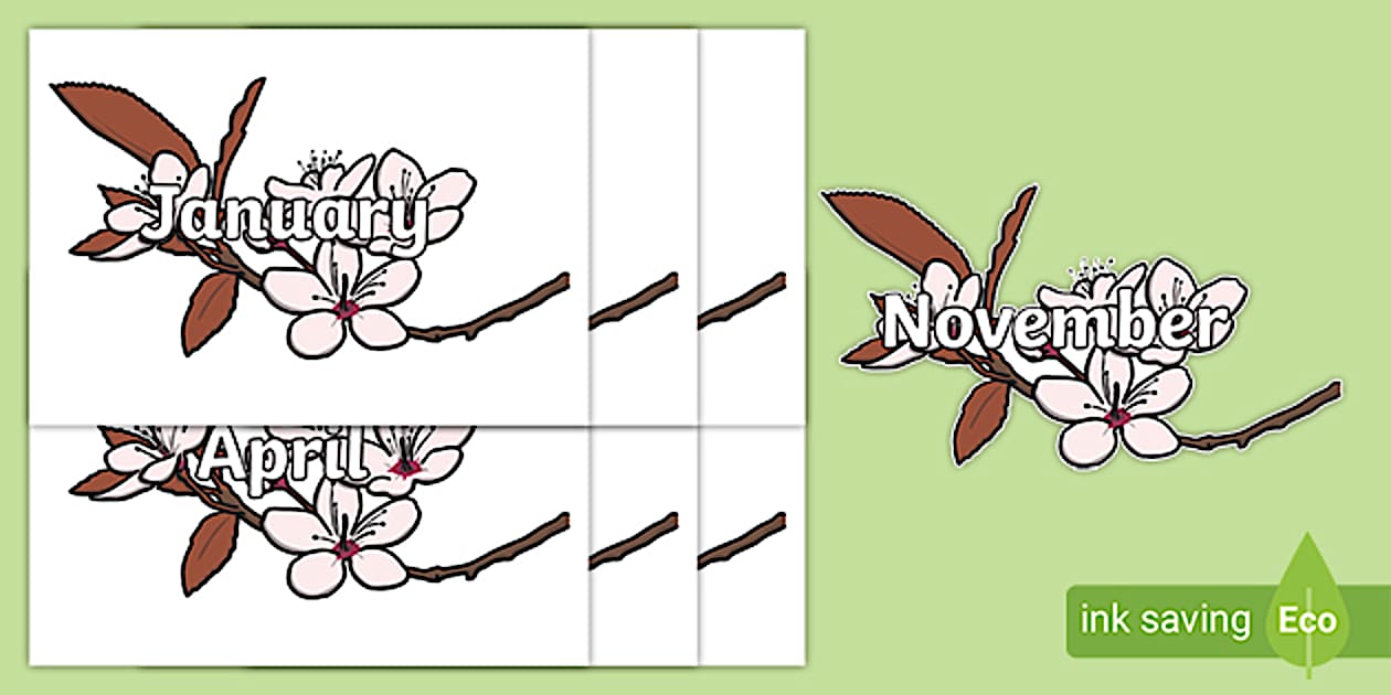 Cursive Months of the Year on Blossom (teacher made)