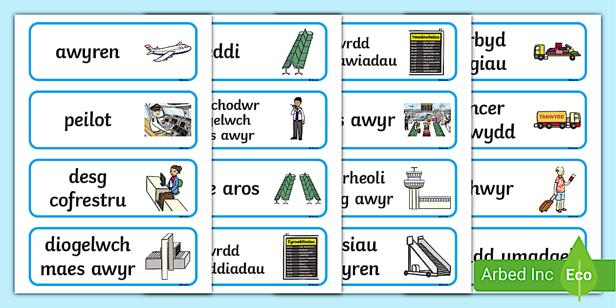 Cardiau Geirfa Maes Awyr (Teacher-Made) - Twinkl