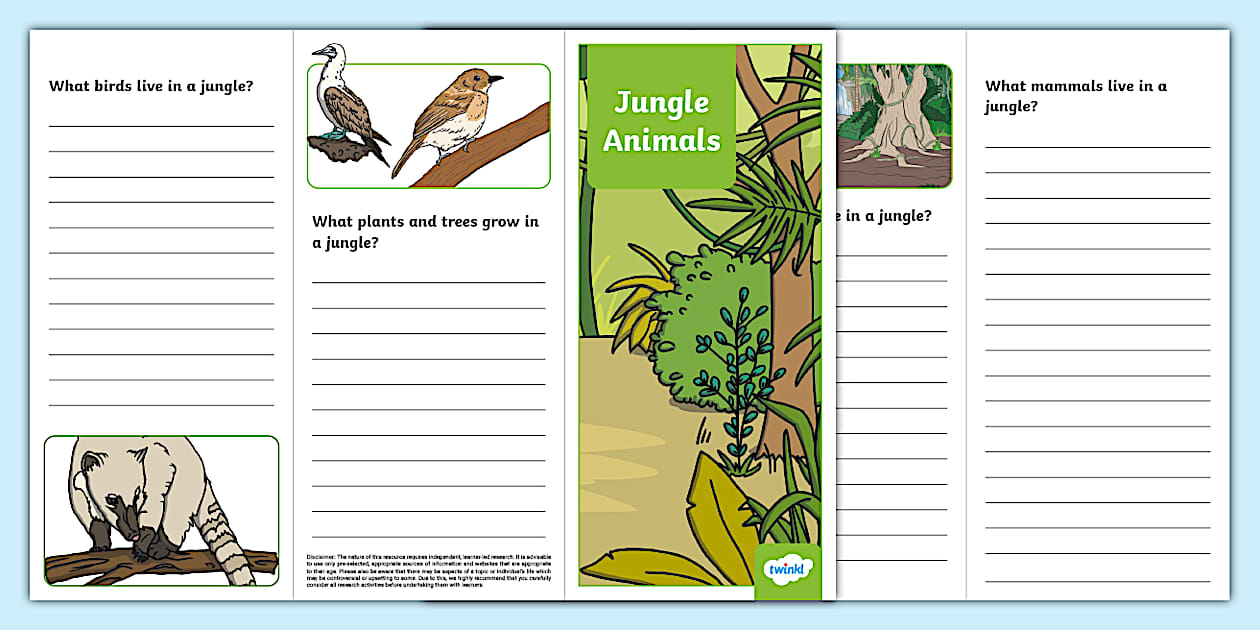 Jungle Animals Leaflet Template (teacher made) - Twinkl