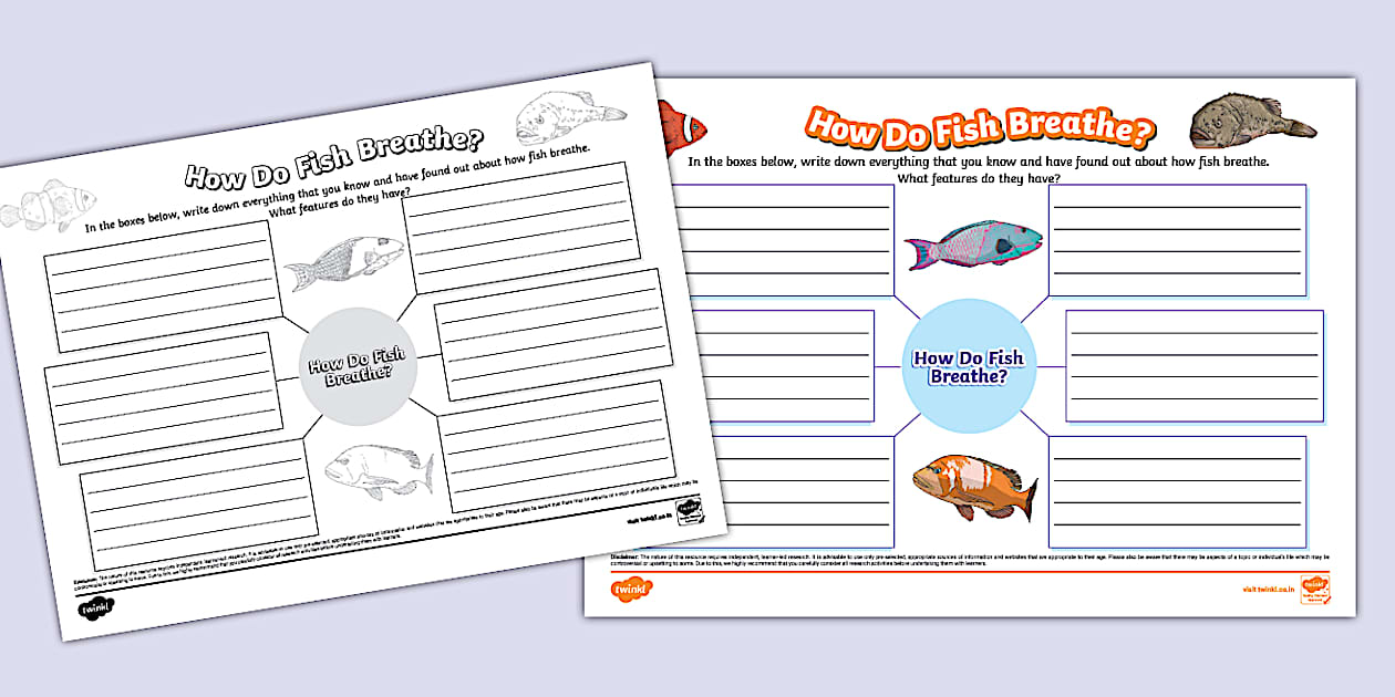 How Do Fish Breathe? Mind Map Animal Topic (Teacher-Made)