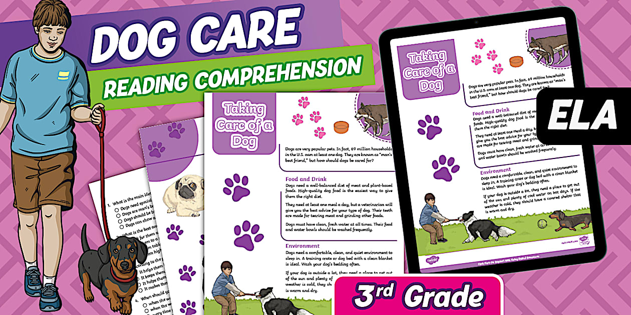 How to Take Care of a Dog Reading Worksheet | Twinkl USA