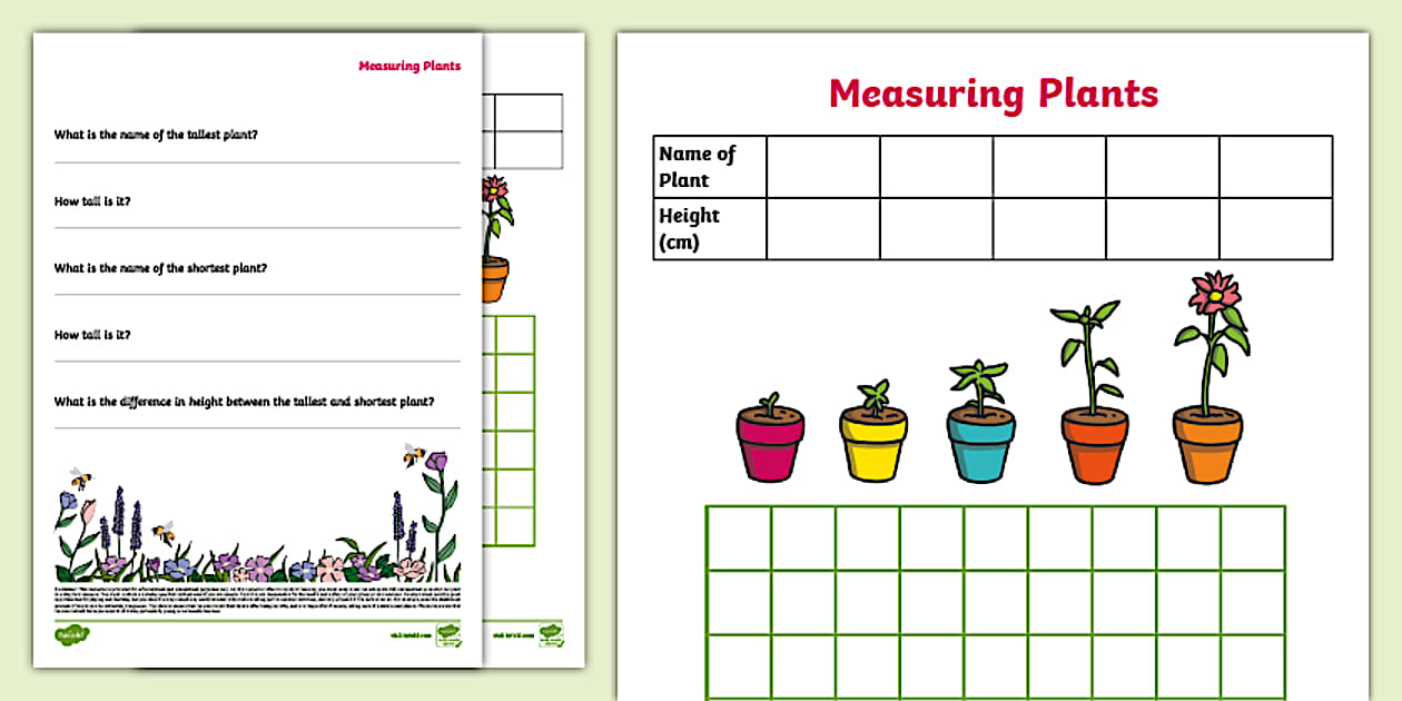 Measuring Plants Block Diagram Template - Twinkl - KS1