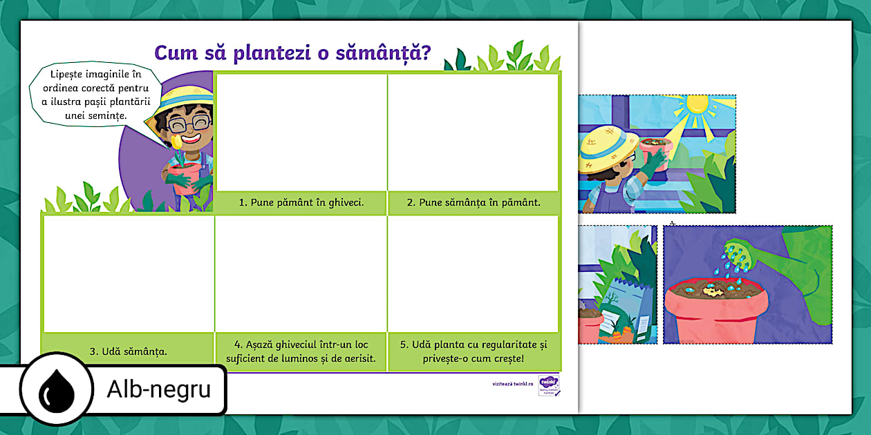 Plantele: Plantarea unei semințe – Ordonarea secvențelor