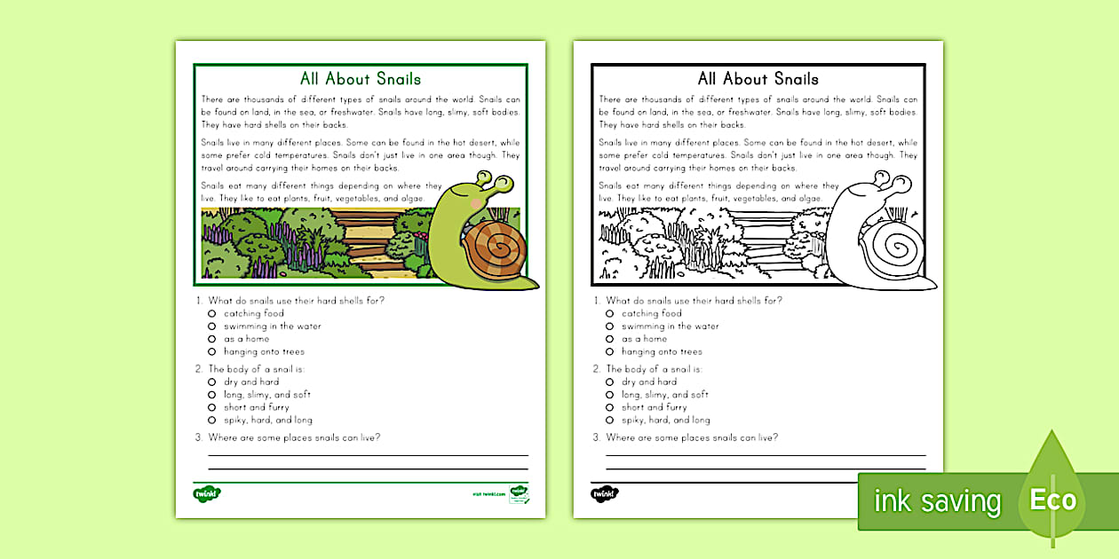 Second Grade All About Snails Reading Passage Comprehension Worksheet
