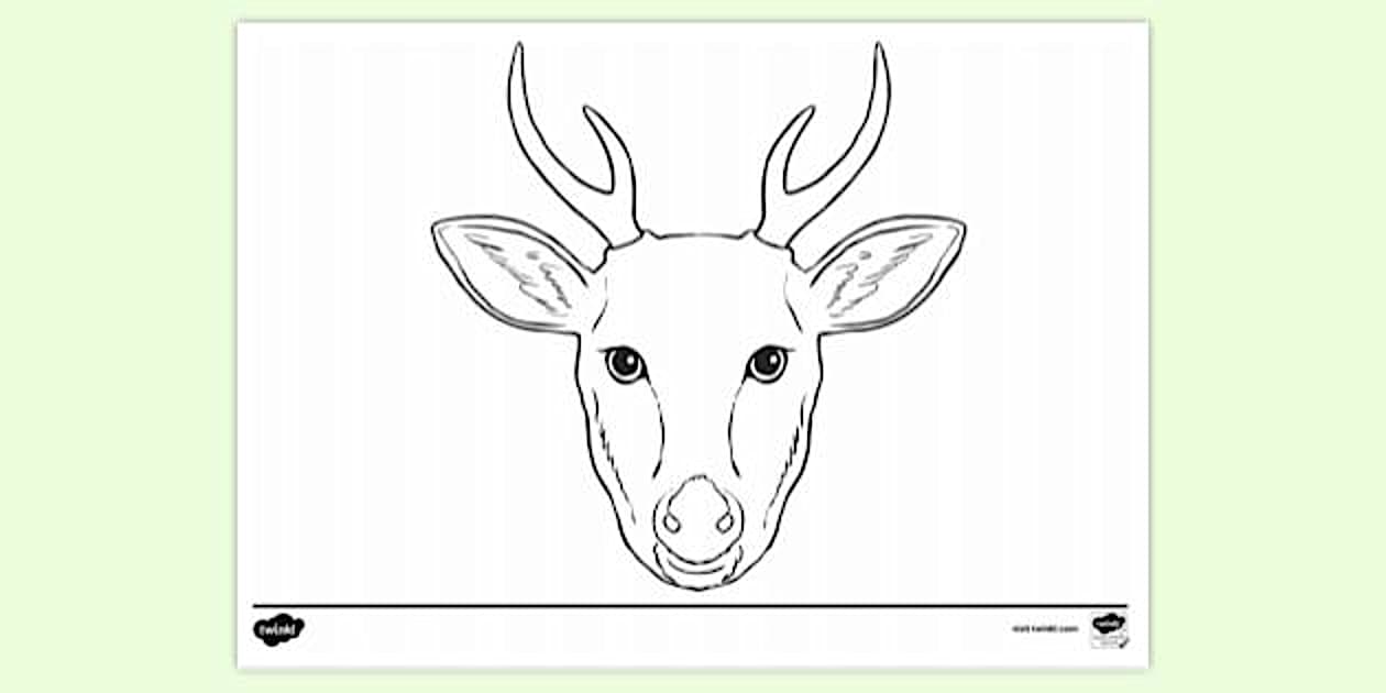 Deer Head Colouring Page | Colouring Pages (teacher made)