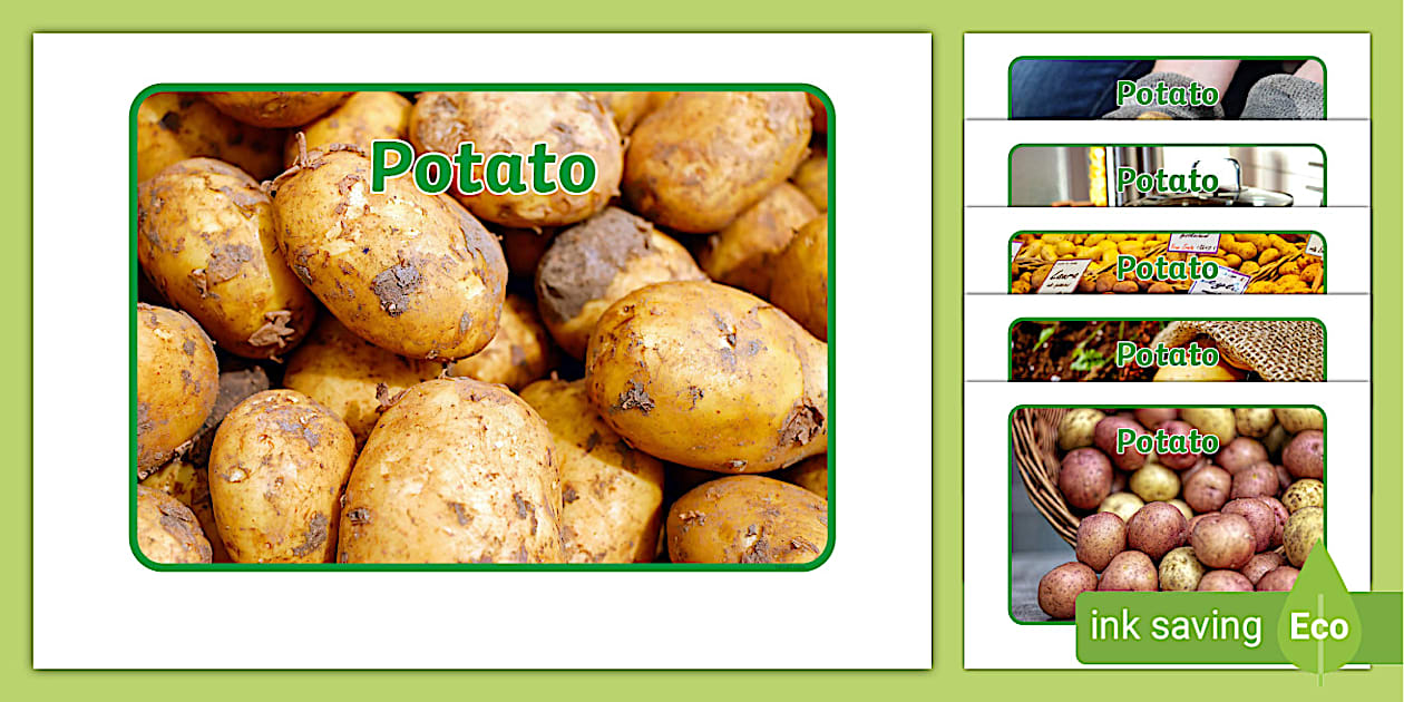 Potato Photo Pack (Teacher-Made) - Twinkl