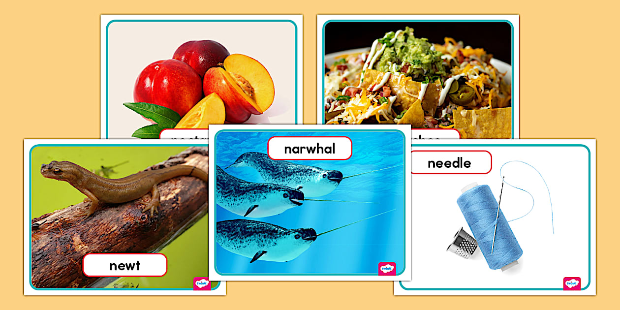Things That Start With N Photos for PreK-K - Twinkl