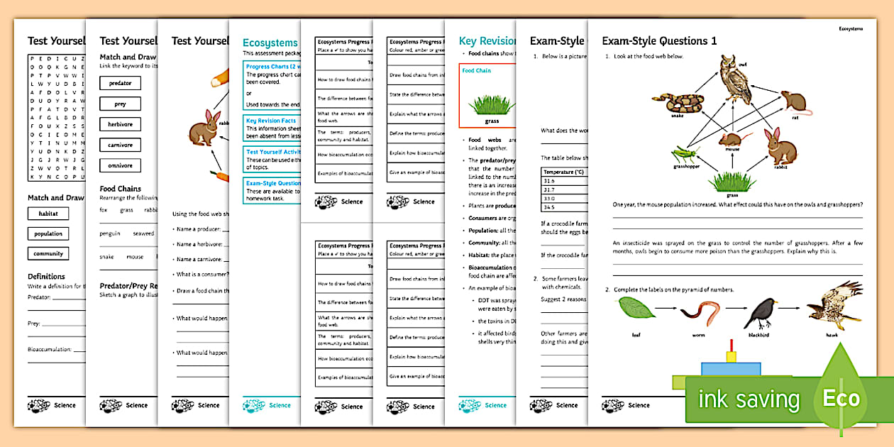 KS3 Ecosystems And Food Chain Revision Pack | Beyond