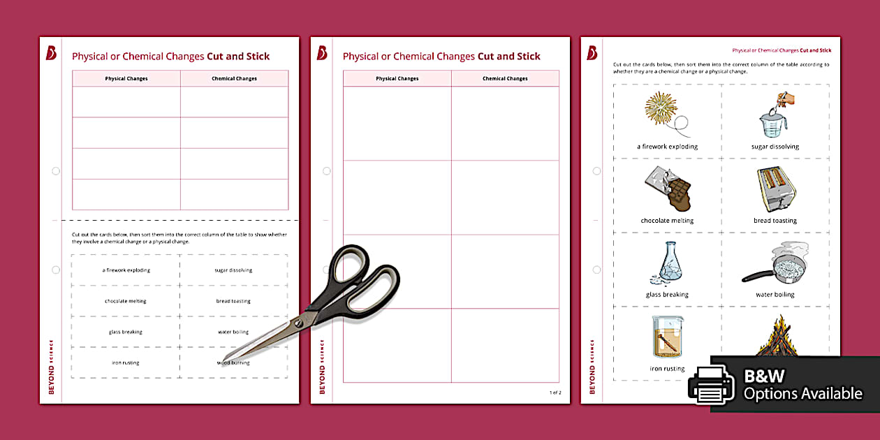Physical or Chemical Change Cut and Stick