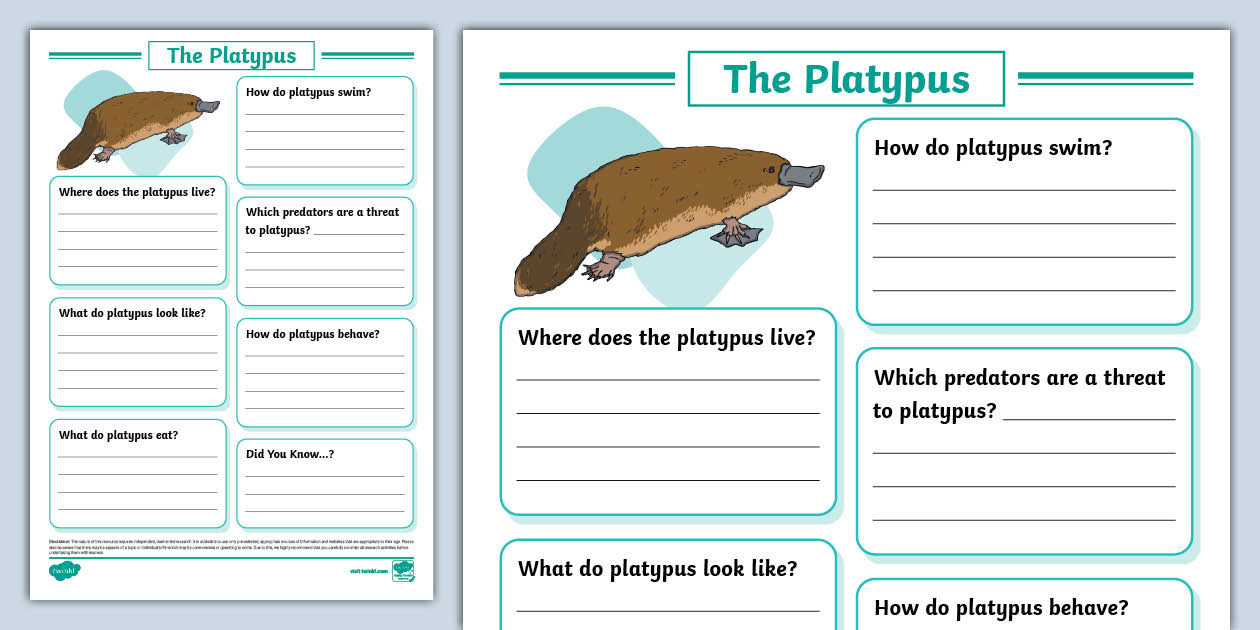 Platypus Fact File Template - Twinkl Science (teacher made)