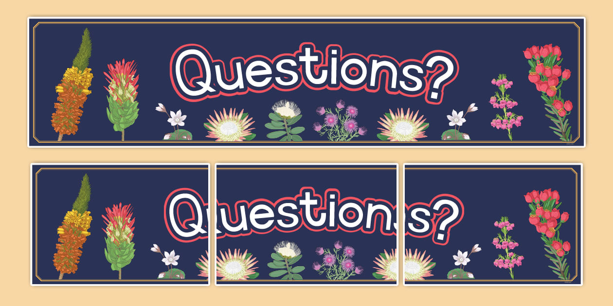 Fynbos-Themed Questions? Display Banner (Teacher-Made)