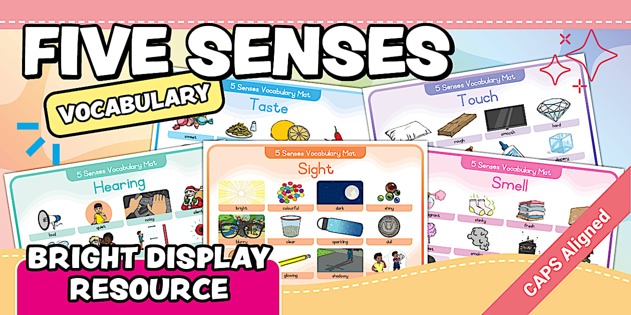 Grade R - Five Senses -Activity Mat: 5 Senses Vocabulary