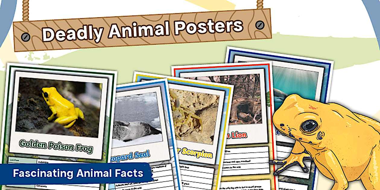 KS2 Deadly Animals Posters - Twinkl