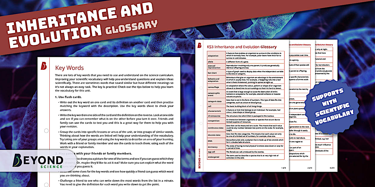 KS3 Inheritance and Evolution Glossary | Beyond Science