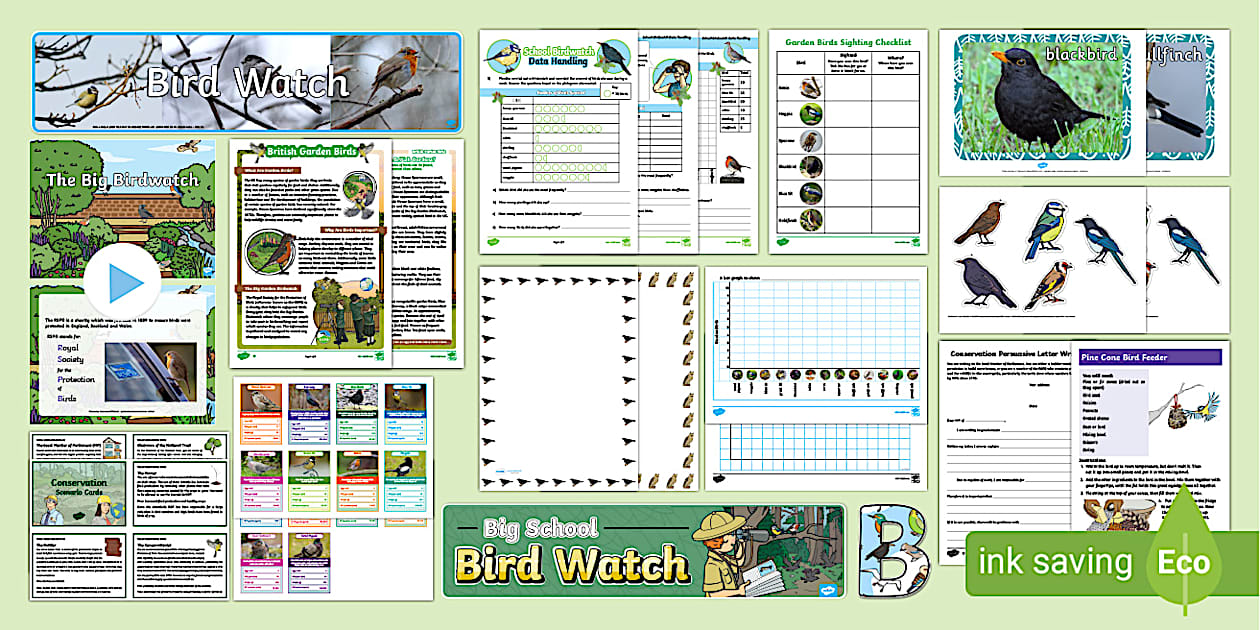 KS2 Bird Watch Resource Pack - British Bird Identification