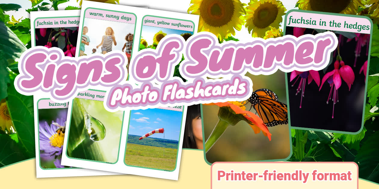 Signs of Summer Photo Flashcards