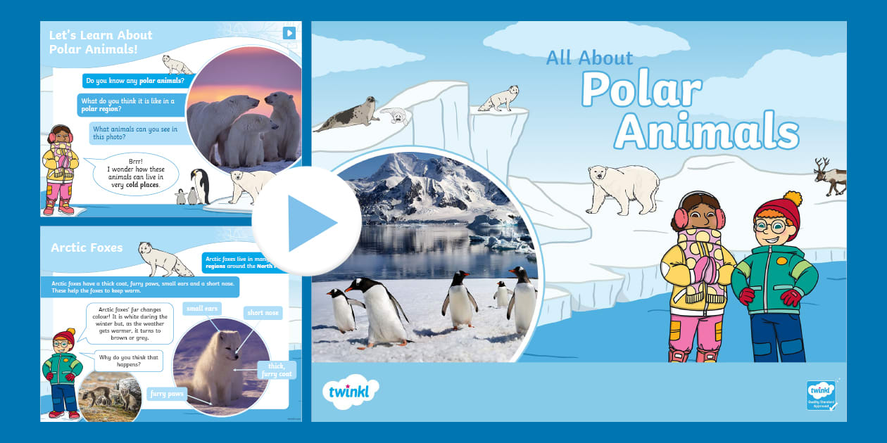 All About Polar Animals PowerPoint | Twinkl - Twinkl