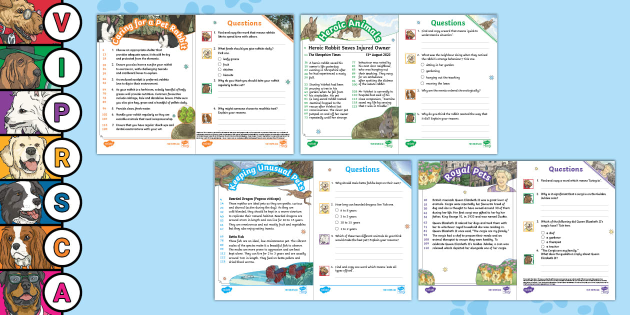UKS2 60-Second Reads: Pets Activity Pack (Teacher-Made)