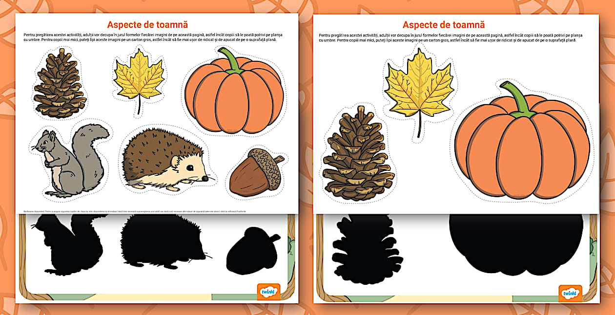 Aspecte de toamnă – Găsește umbra (teacher made)