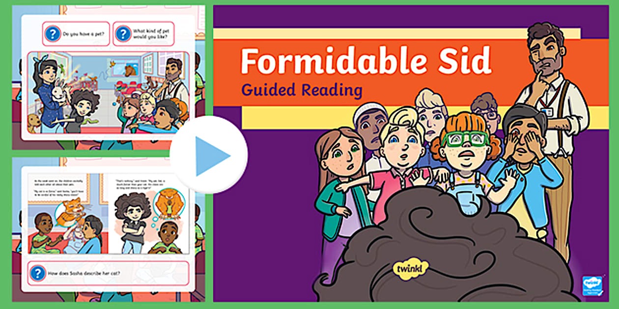 Formidable Sid: KS1 Guided Reading Questions PowerPoint