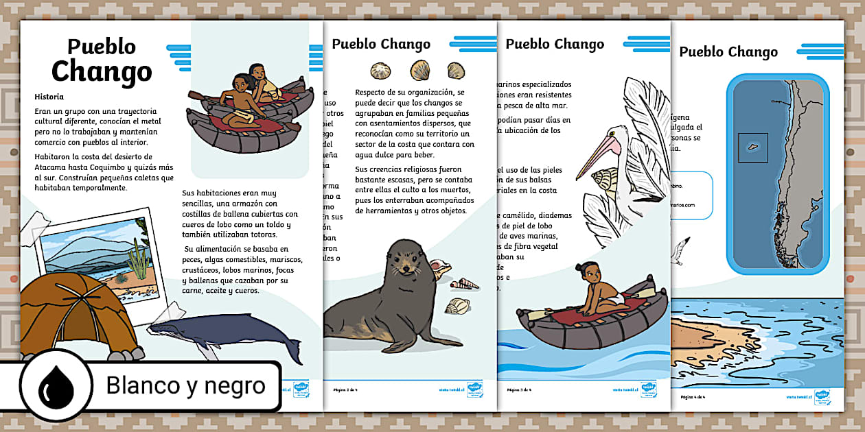 Actividad: Ficha informativa de los Changos - Twinkl