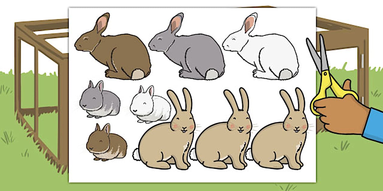 Black and White Fluffy Bunny Cut-Outs (l'enseignant a fait)