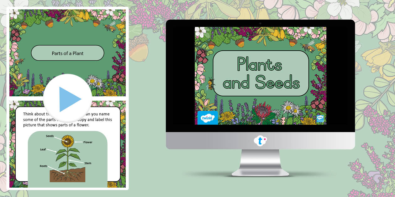 Grade 1 - Plants and Seeds Theme Discussion PowerPoint