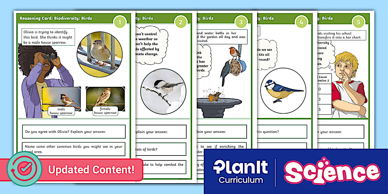 Science: Biodiversity: Birds: Year 3 Reasoning Cards