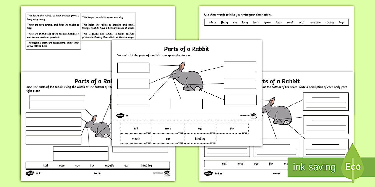 Editable Parts of a Rabbit Differentiated Worksheet - Twinkl