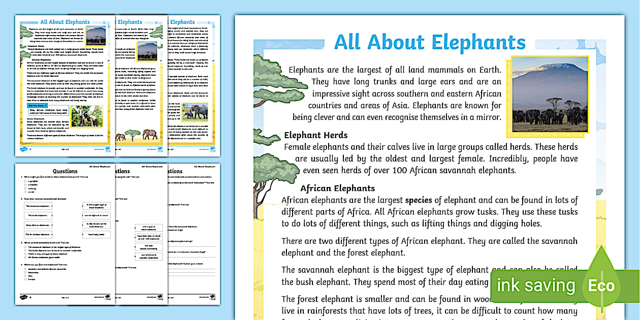 LKS2 All About Elephants Differentiated Reading Comprehension Activity Ages