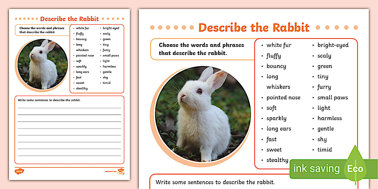Describe the Rabbit Writing Activity,rabbit description