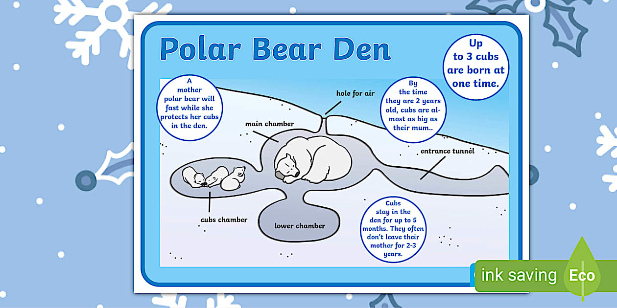 Polar Bear Den Display Poster (Teacher-Made) - Twinkl