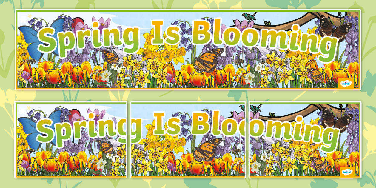 Spring Is Blooming Display Banner (teacher made) - Twinkl