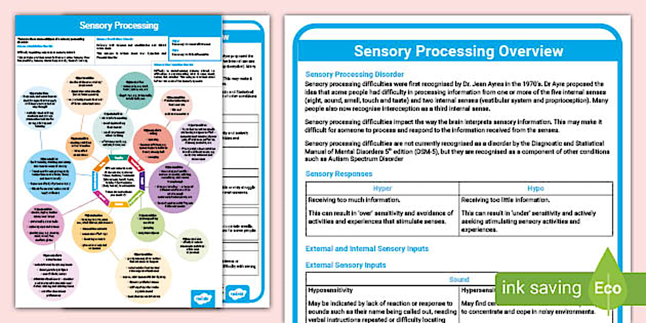 Sensory Processing Guidance & Overview (teacher made)