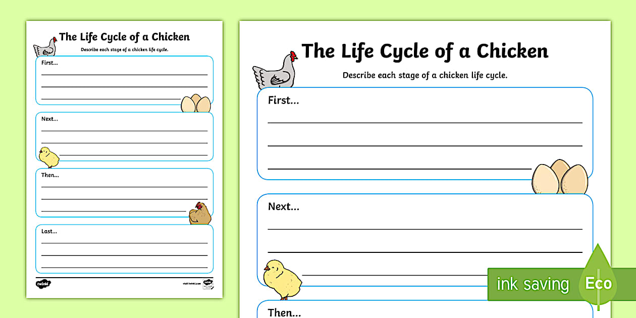 Editable The Life Cycle of a Chicken Writing Frame - Twinkl