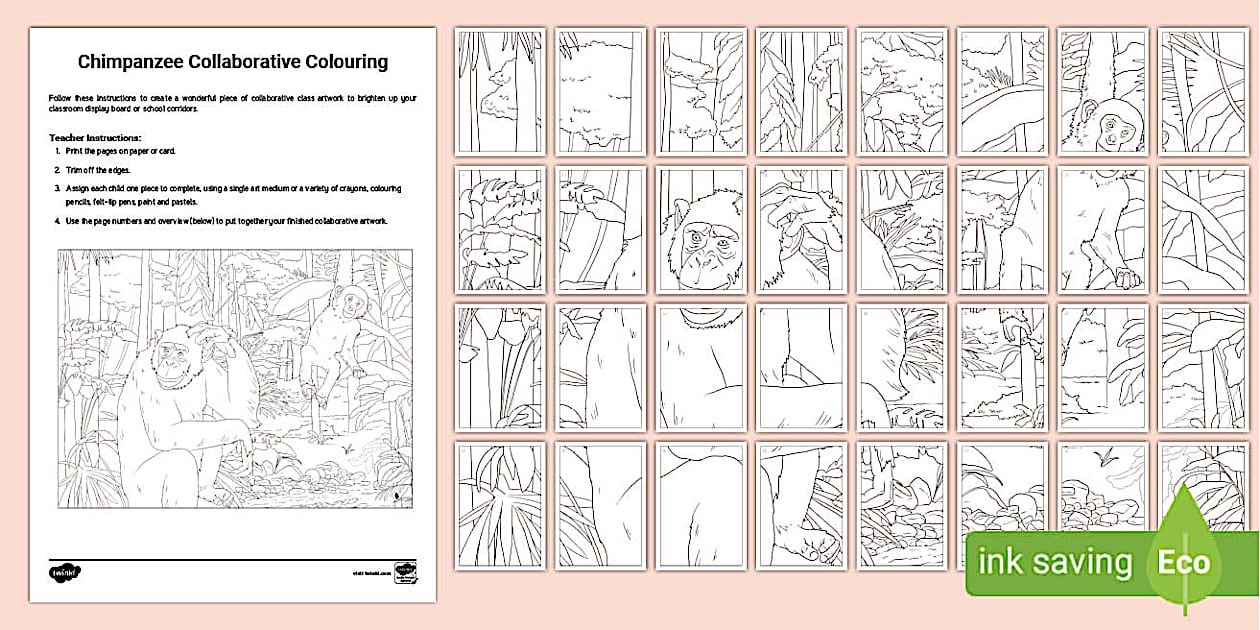 Chimpanzee Collaborative Colouring Activity (teacher made)